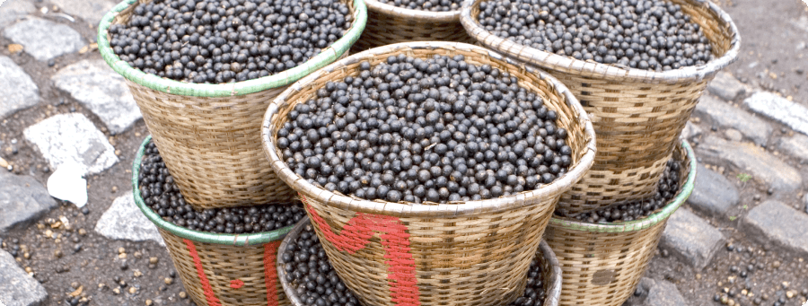 Beraca - Natural Ingredients