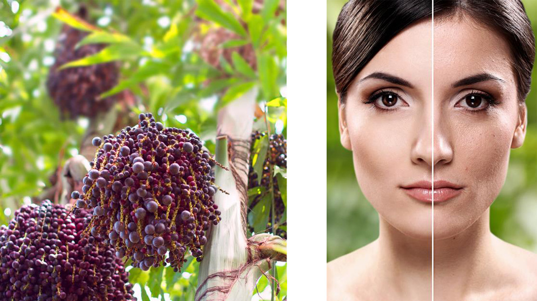 Beraca - Natural Ingredients